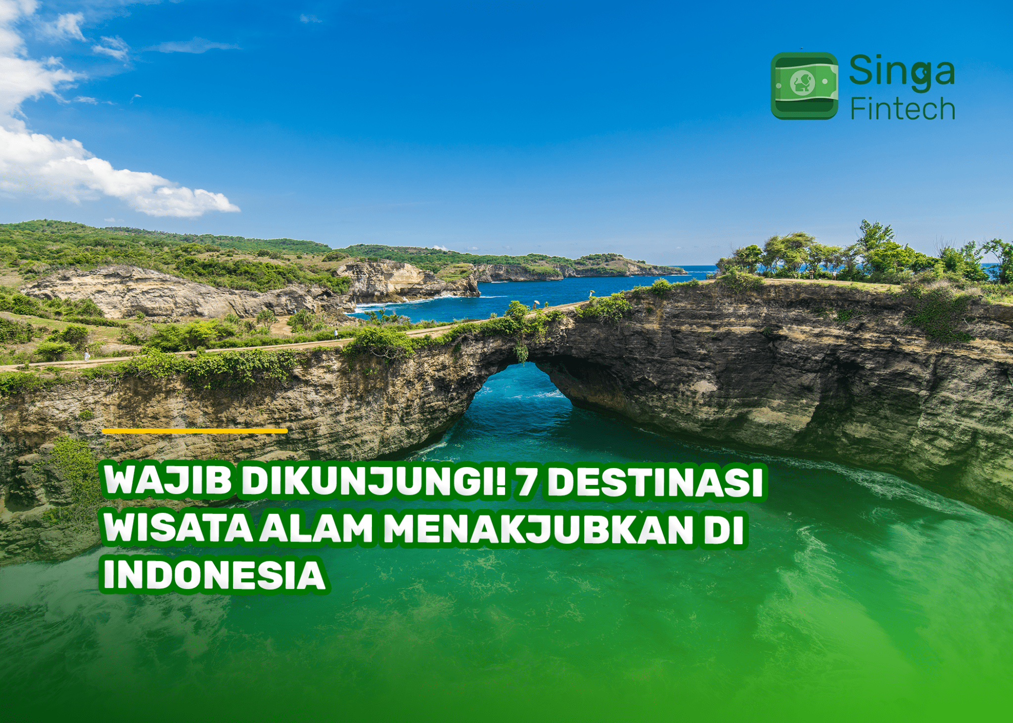 Wajib Dikunjungi! 7 Destinasi Wisata Alam Menakjubkan di Indonesia - Singa